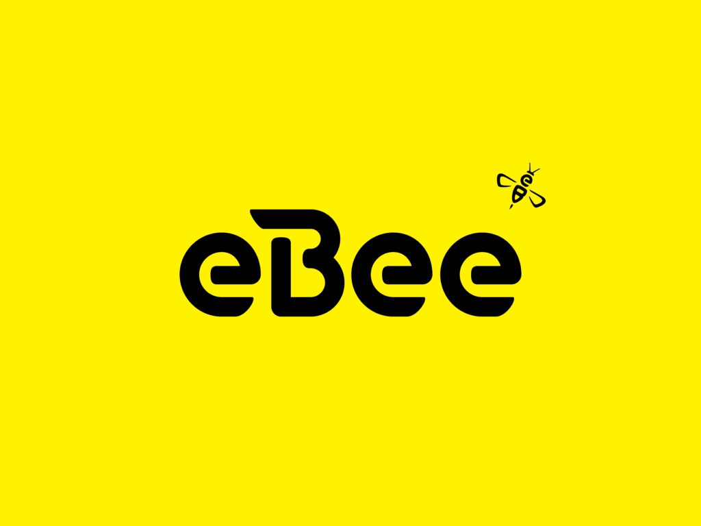eBee - AFSIC 2025 - Investing in Africa